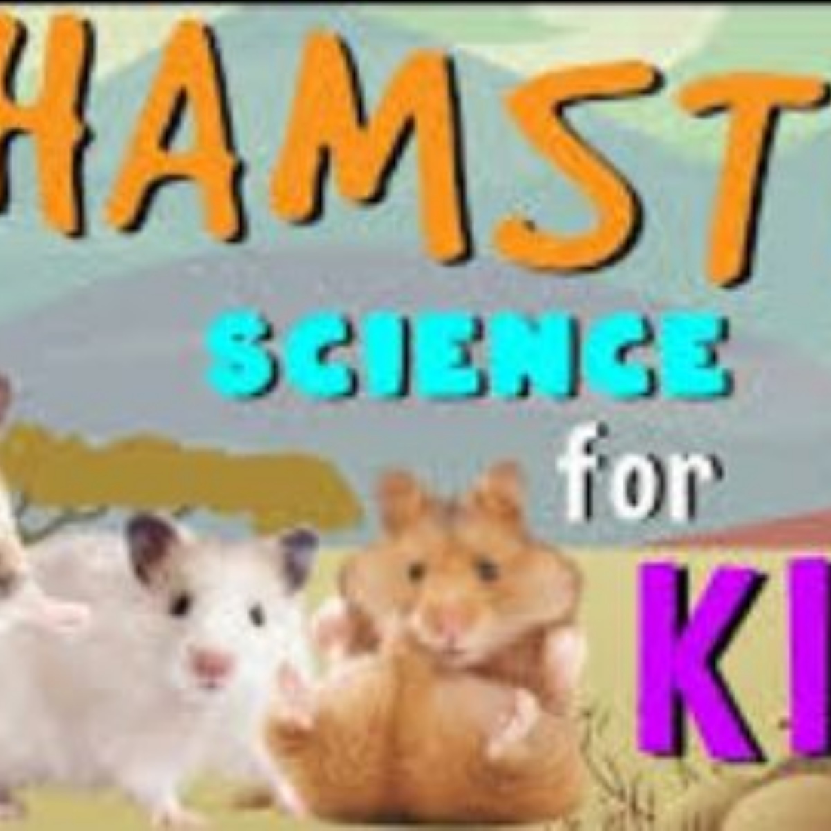 Kensington Primary School - Science in Year 1